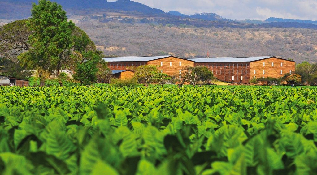 Premium Nicaraguan Cigars: Exquisite Flavors and Craftsmanship